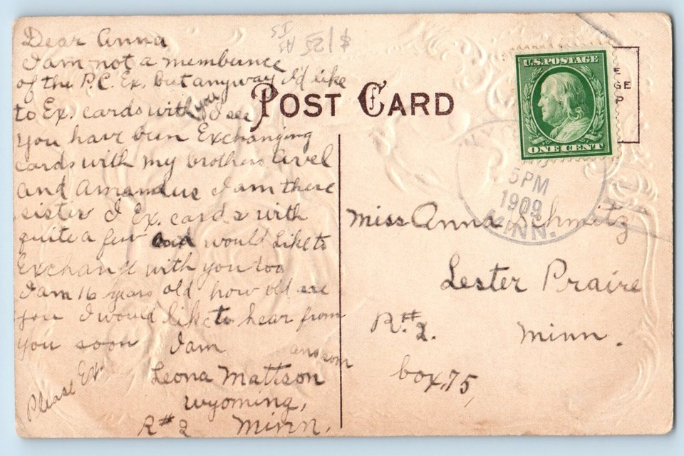 Lake Netta Minnesota MN Postcard Greetings Flower Roses Embossed 1909 ...