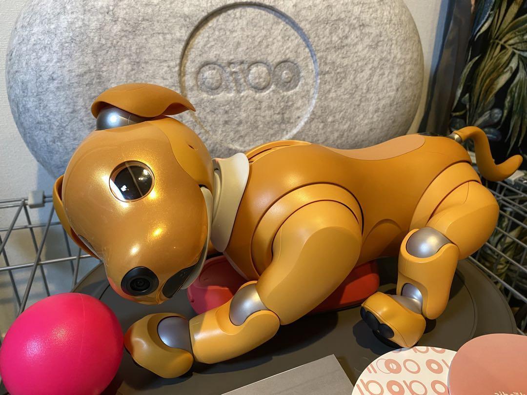 SONY Ivo ERS-1000 Caramel Edition Limited Edition | eBay SONY Ivo ERS-1000 Caramel Edition Limited Edition | eBay