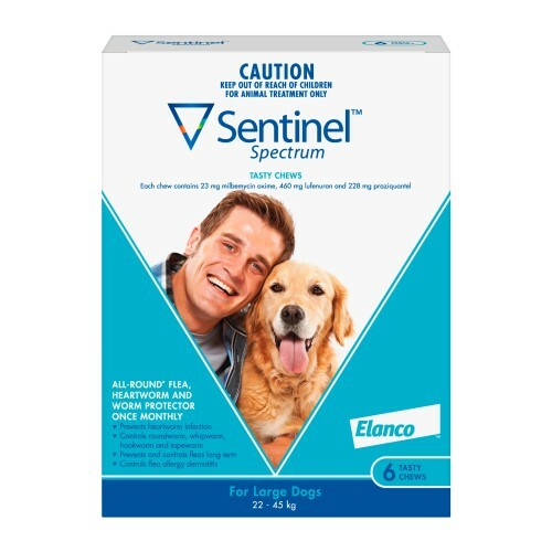 Sentinel Spectrum Chews Large Dog Blue Heartworm Flea Worm Control 6 ...