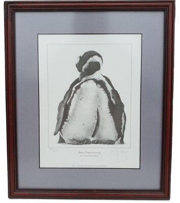 "Jackass Penguins Preening" by Gary Hodges Signed Limited Edition Print ...