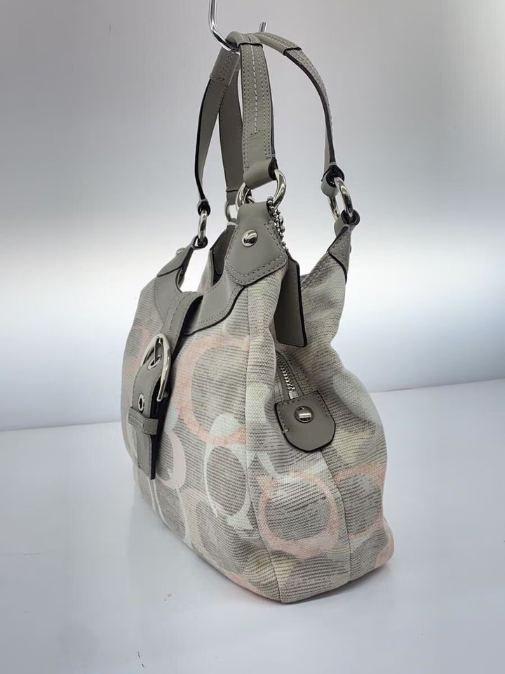 COACH Canvas Bag BEG A1273-F19193 | eBay