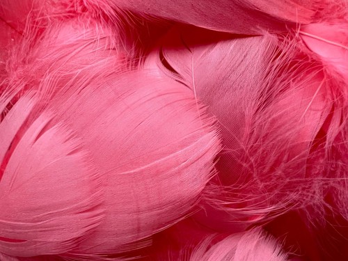 100 Solid Coloured Feathers - Mixed Sizes - Art, Craft, Bubble Balloon ...