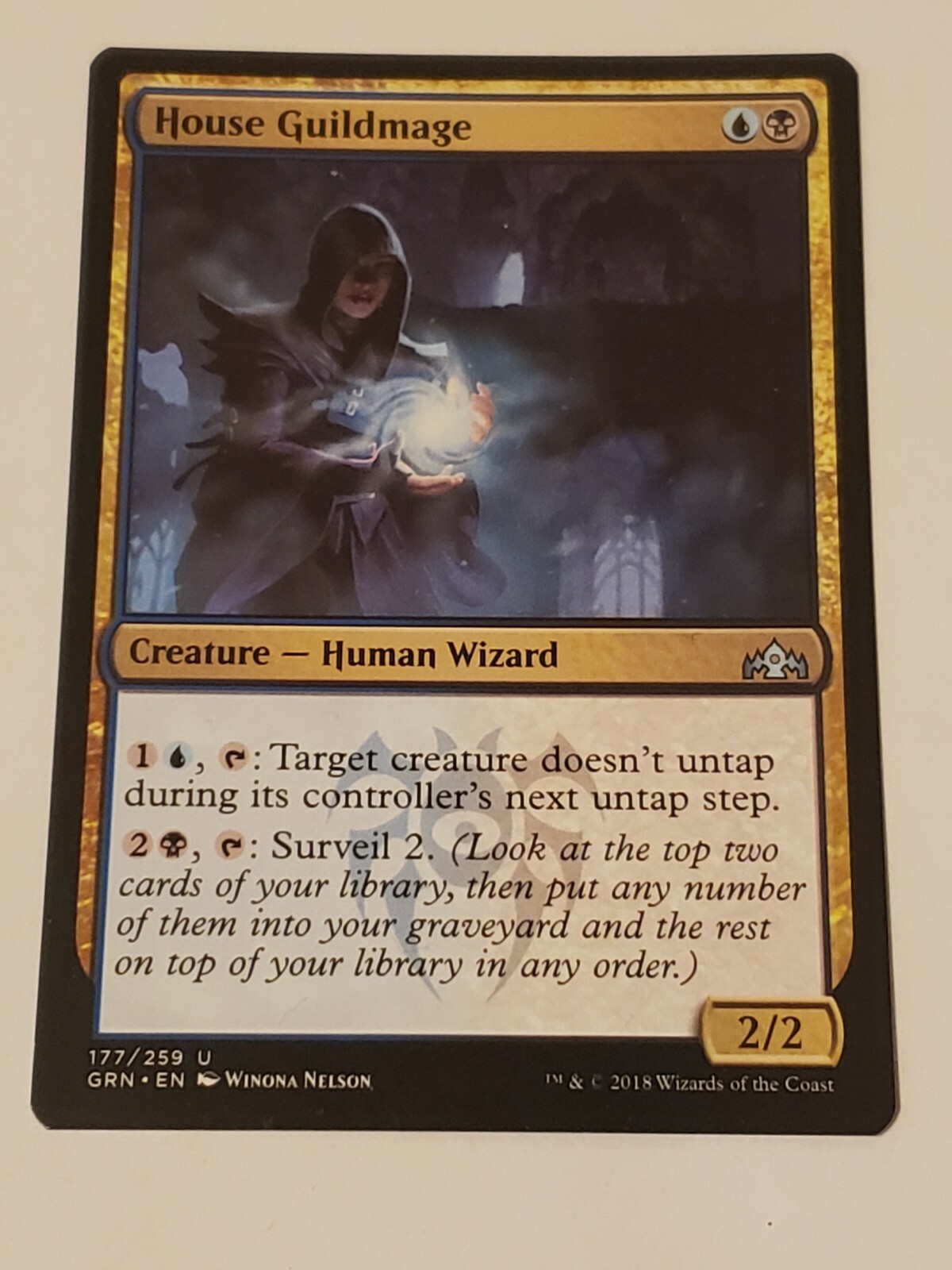 House Guildmage Guilds Of Ravnica Mtg Card Mint Condition | eBay