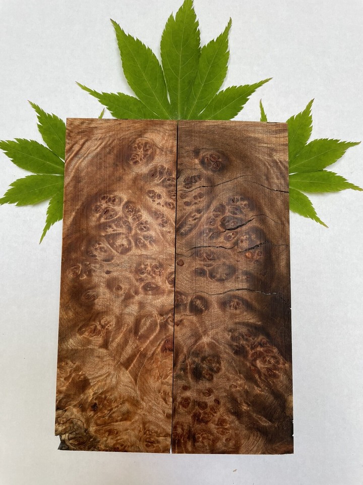 Stabilized Spalted Maple Burl Wood Knife Scales, Handles, Pistol Grips ...