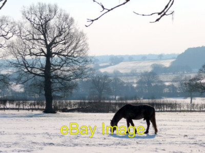 Photo 6x4 Horse Grazing, Farmland, Botany Bay, The Ridgeway, Enfield ...