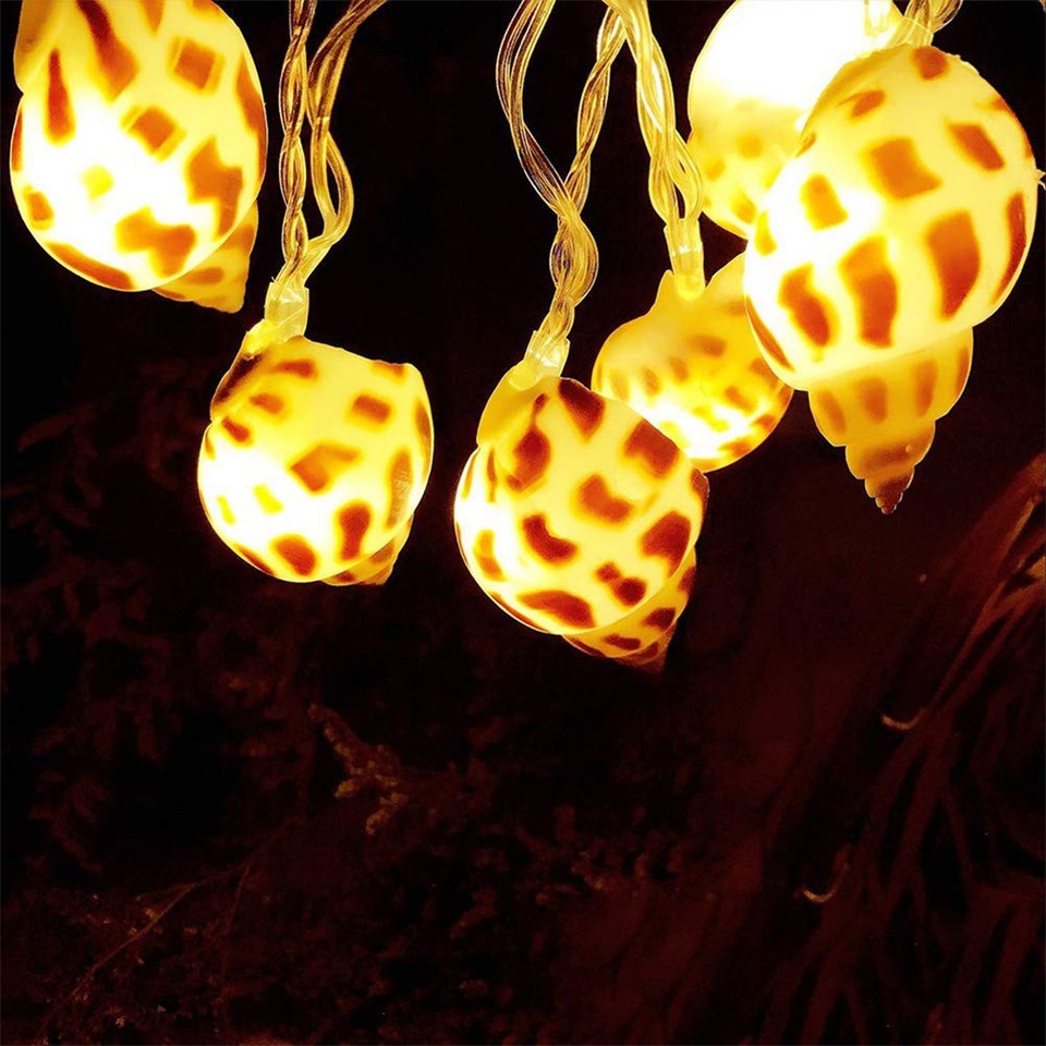 Conch Decorative Light 1.2M Fairy Safe Sea Shell String Lights For ...