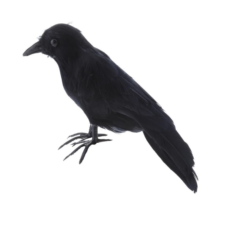 Artificial Crow Black Bird Raven Prop Decor For Halloween | eBay Australia