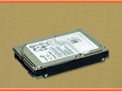 SAS HDD 146 GB 2,5 Zoll IBM/Seagate OEM Savvio 10K.2 ST9146802SS | eBay