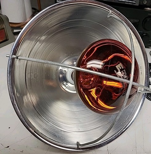 Poultry Brooder Heat Lamp Kit – 250W Infrared Bulb & 10.5" Reflector ...