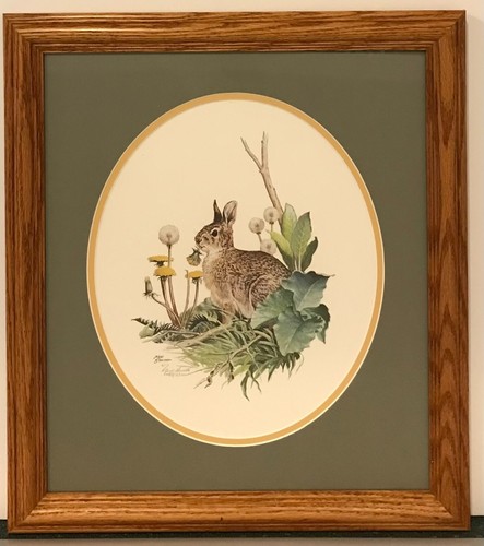 Ned Smith - Bunny from the Nature Series | eBay