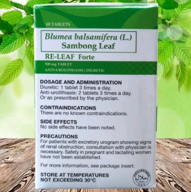 Sambong Releaf Forte Tea 500gm 120 Capsules Blumea Balsamifera Herbal (2 Boxes) for sale online ...