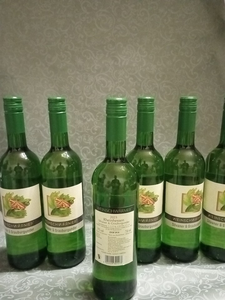 Restposten 6x750ml Häßlichetikett 2023 Rheinhessen Silvaner ...