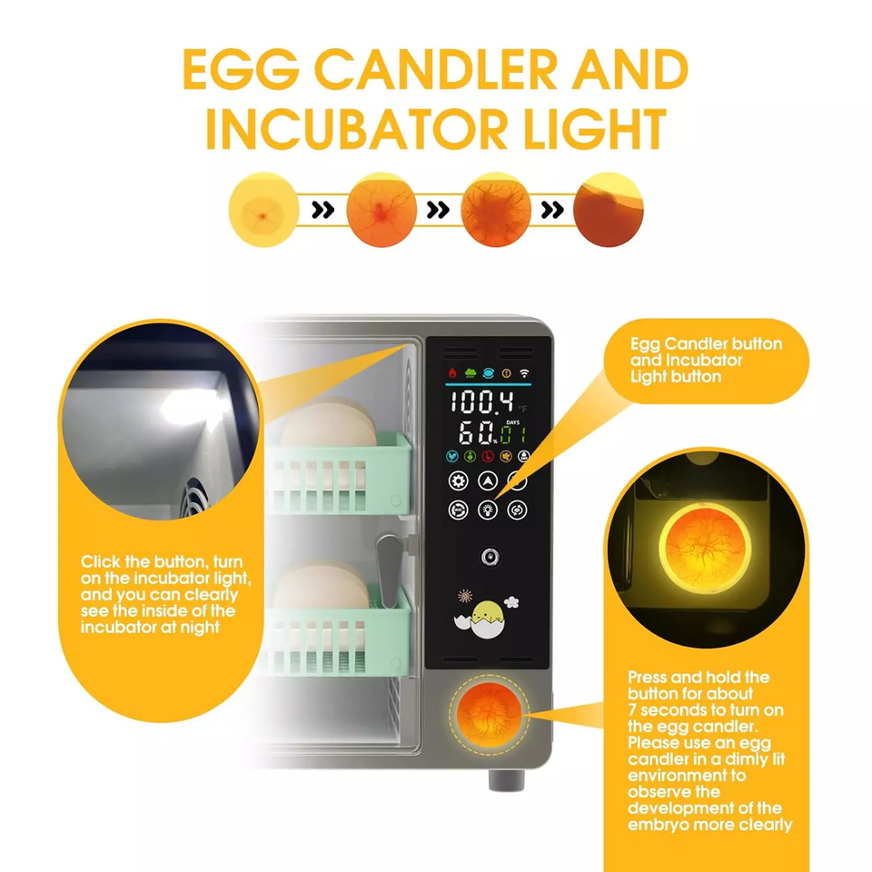 24 Eggs Incubator For Hatching Eggs with Automatic Egg Turning and ...