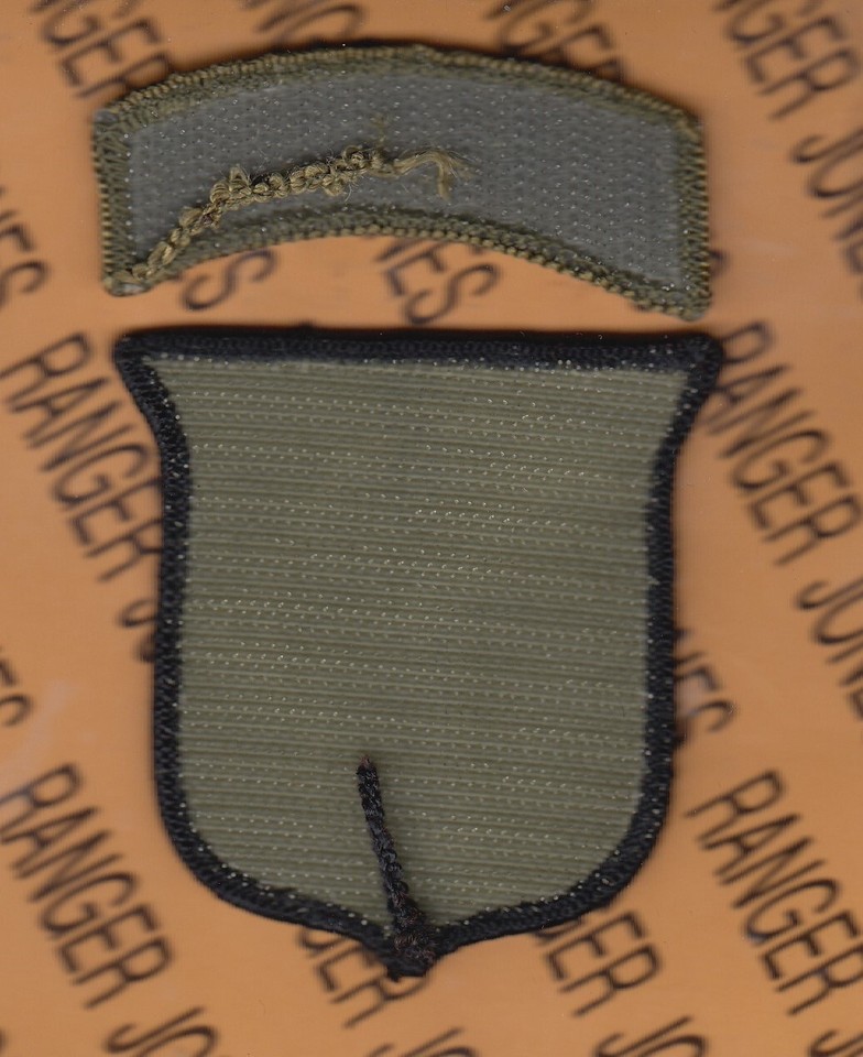 US Army 101st Airborne Division AIR ASSAULT AASLT OCP w/ Hook ~3.25 ...