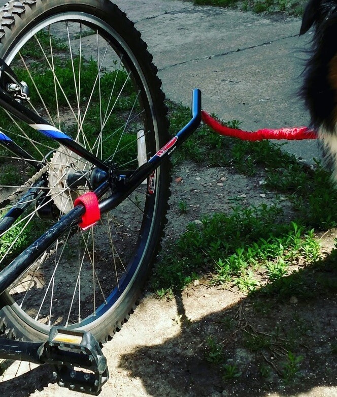 K9 Cruiser (Medium) Bicycle Leash , Red And Black, Bike Leash For Dogs ...