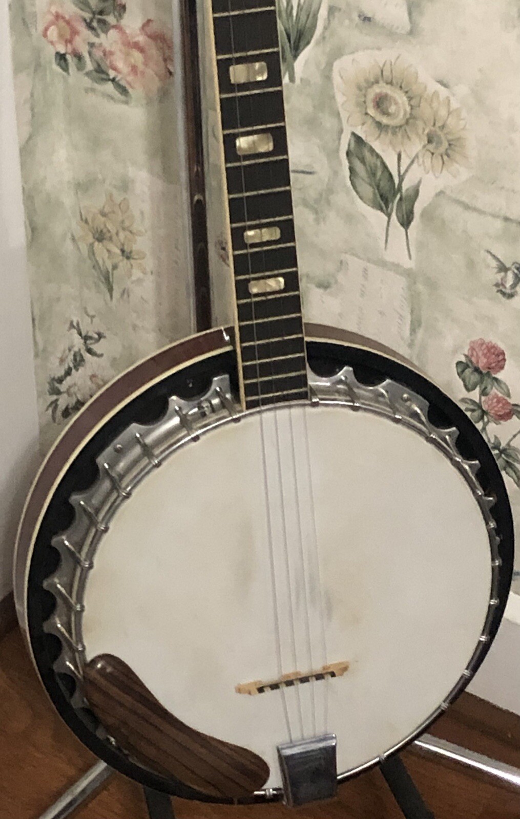 Vintage Hondo II Model HB75A 5-String Banjo with Case - Made in Korea ...