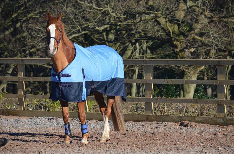 Turner Equestrian Lightweight Waterproof Turnout Rugs 100g Fill 600d ...