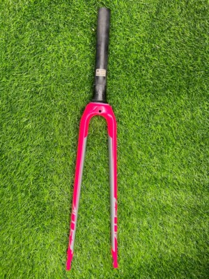 Forks - Specialized Fact Carbon - Nelo's Cycles