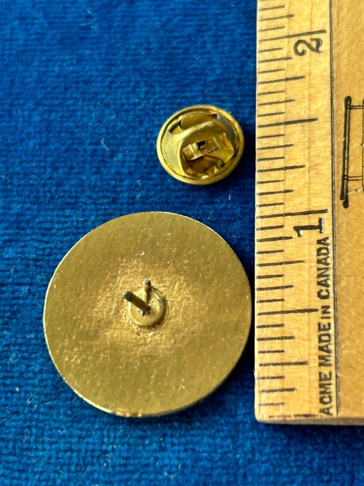 Merck Frosst Canada Pharmaceutical Pills Think Safety Pharma Lapel Pin ...