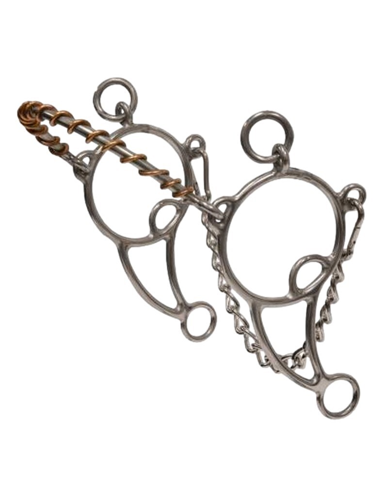 Professionals Choice Bit Combo Series Hackamore 6 Cheek Silver BPB-154 ...