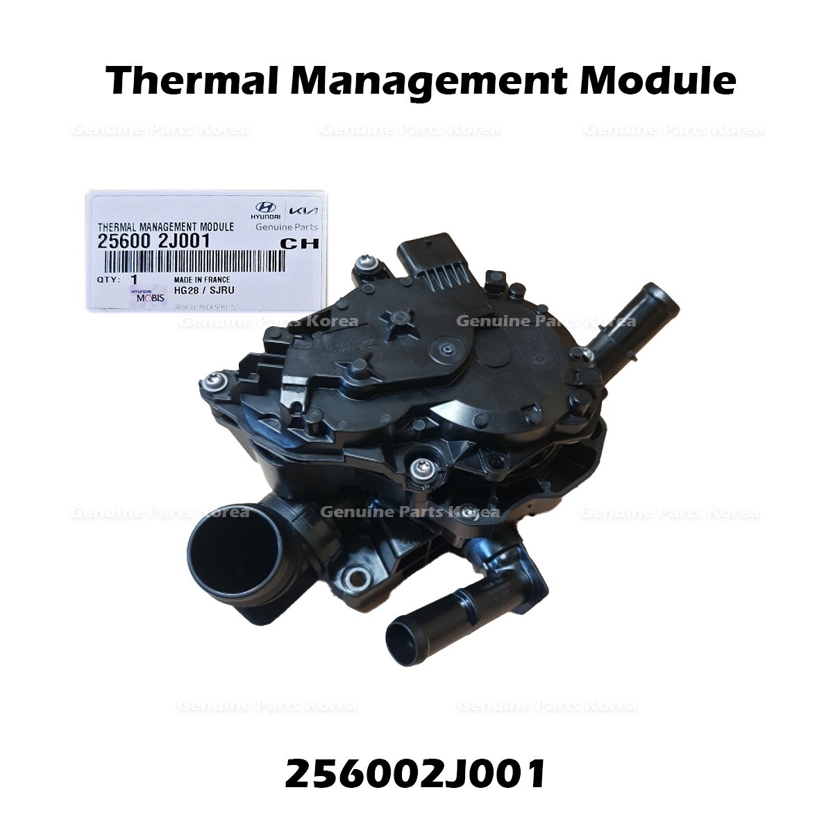 Genuine Thermal Management Module 256002J001 for Hyundai Sonata Hybrid ...