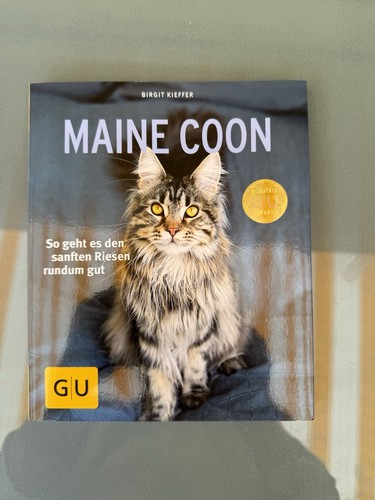 Maine Coon Riesen Der Sanfte Gigant Mythos Oder Realitatfeed