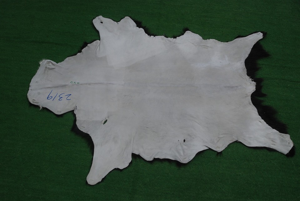 GOAT Western taxidermy Hide Rug Natural Pattern Fur Goat Hide Rode SA ...