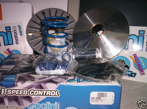 Polini Variator T-MAX 500 Evolution 2 12R 241.684 New | eBay
