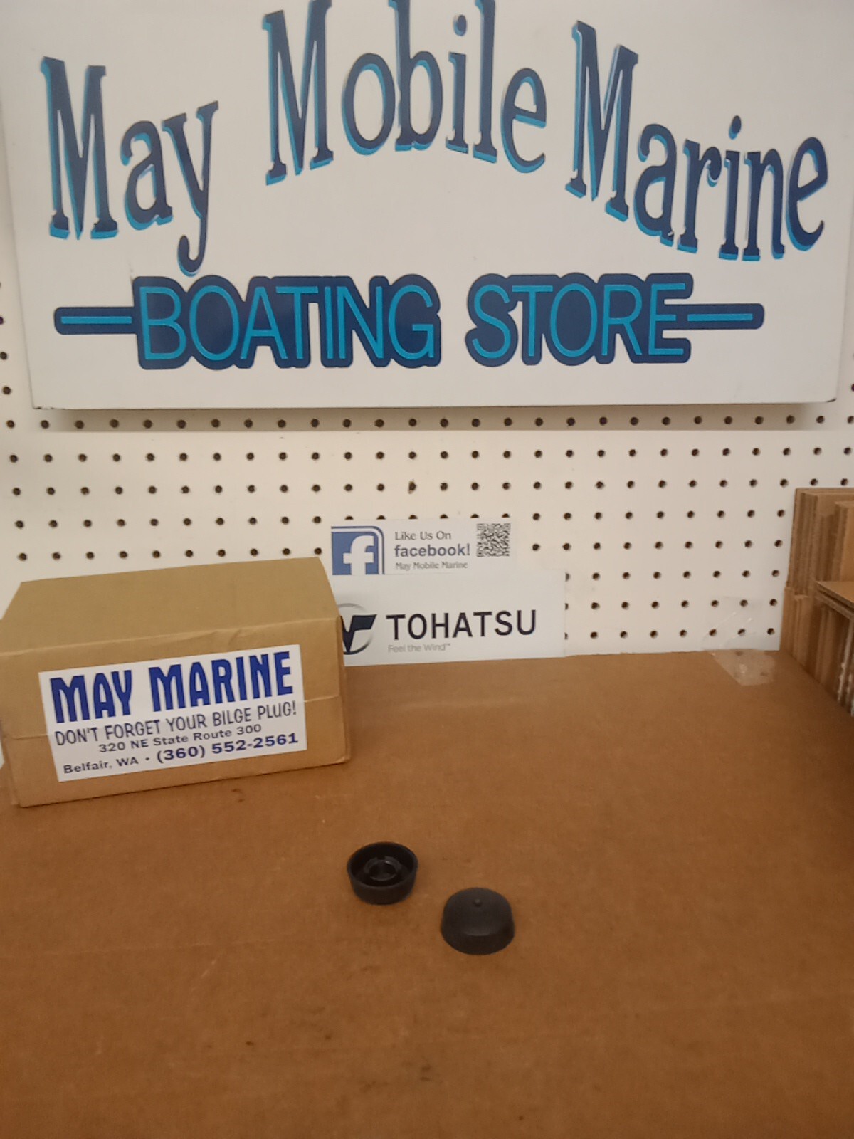 18-2466-9 SIERRA "Pivot Pin End Cap(pack of 2) Replaces MC 19-815591 | eBay