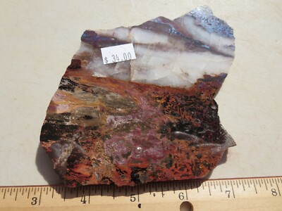567 FACE POLISHED BINGHAMITE SLAB, CROSBY-IRONTON, MN. aka AMERICAN ...