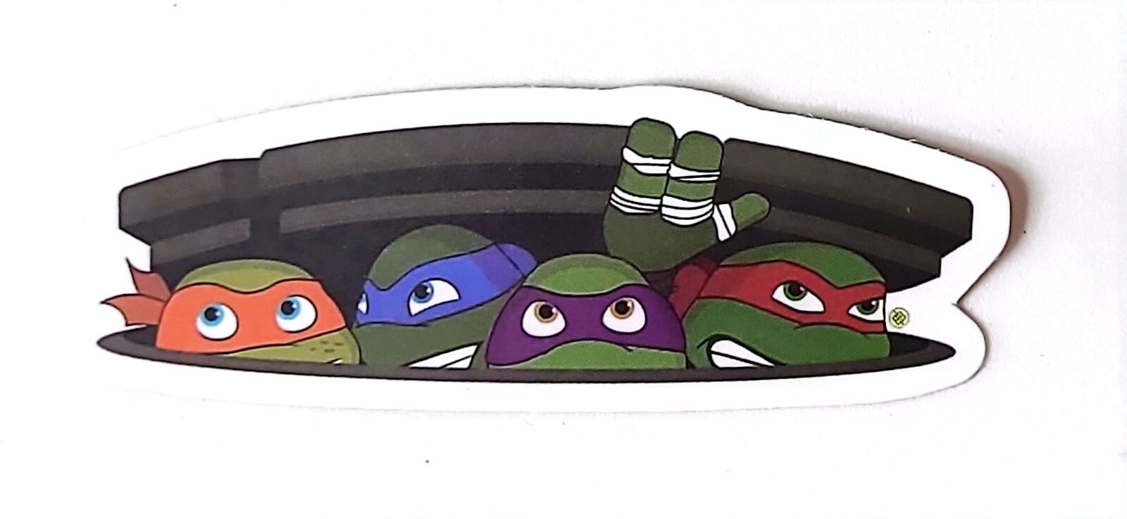 TMNT Teenage Mutant Ninja Turtles Shredder Krang April Water Resistant ...