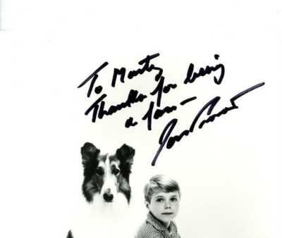 John Provost Actor Jon Provost Biography