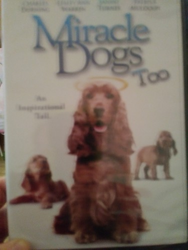 Miracle Dogs Too (DVD, 2007) for sale online | eBay