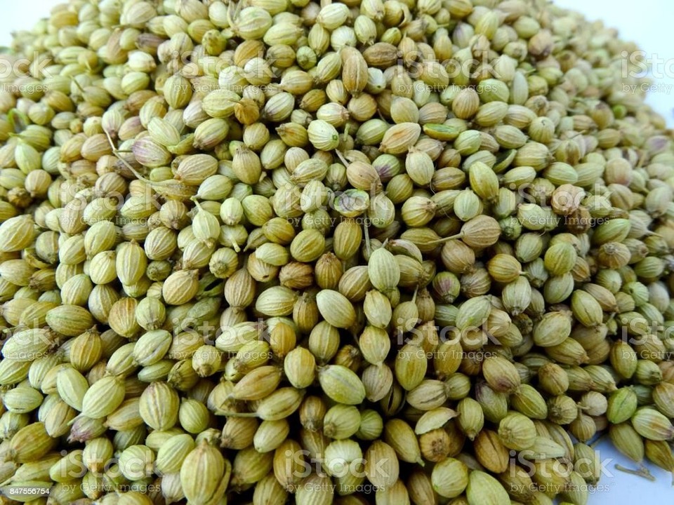 Dhania Sabut -1000 Gm: Whole Coriander Seeds for Cooking, Also Known as ...