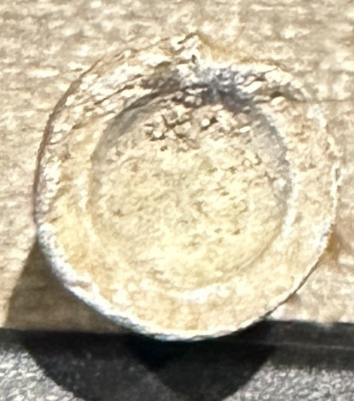 .45 caliber Sharps Buffalo Rifle bullet formerly considered to be a ...