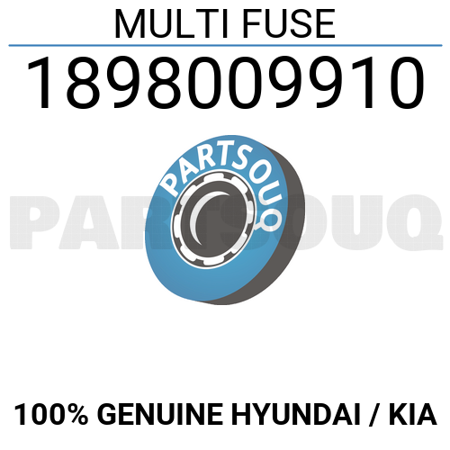 1898009910 Genuine Hyundai / KIA MULTI FUSE | eBay