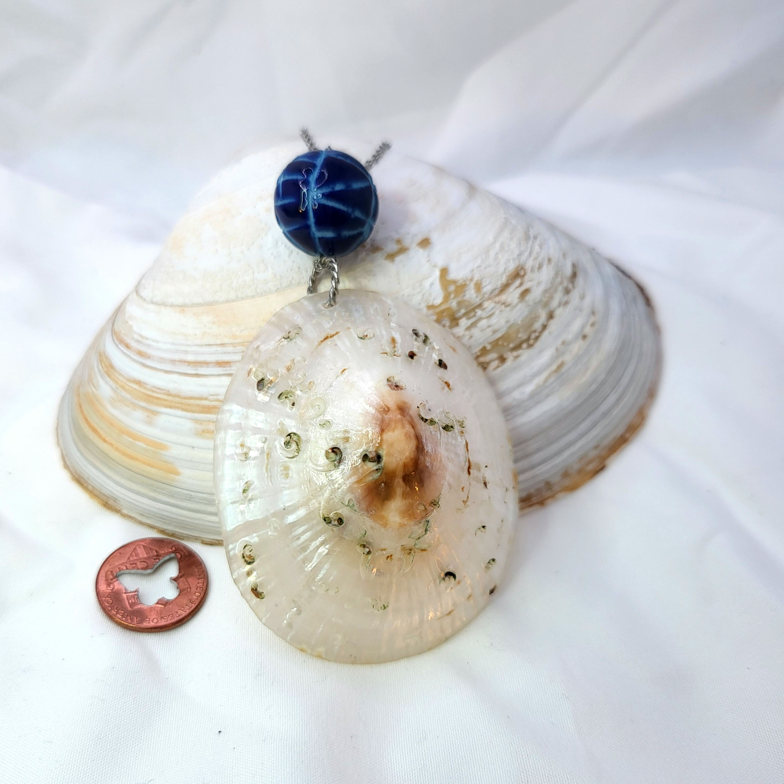 Opihi Shell Pendant | eBay