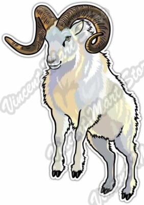Dall Sheep Arctic Wild Animal Car Bumper Window Vinyl Sticker Decal 4 ...