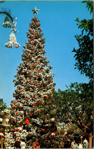 Disneyland Christmas Tree - The Magic Kingdom - Vintage Postcard | eBay
