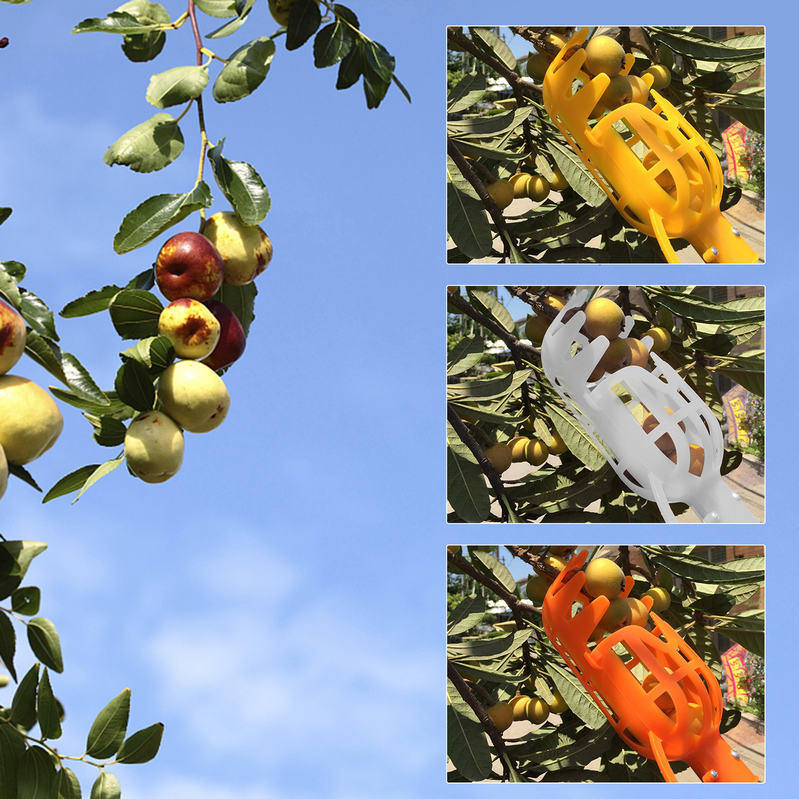 Fruit Picker Basket Catcher Collector Gardening Picking Tool for Apple ...