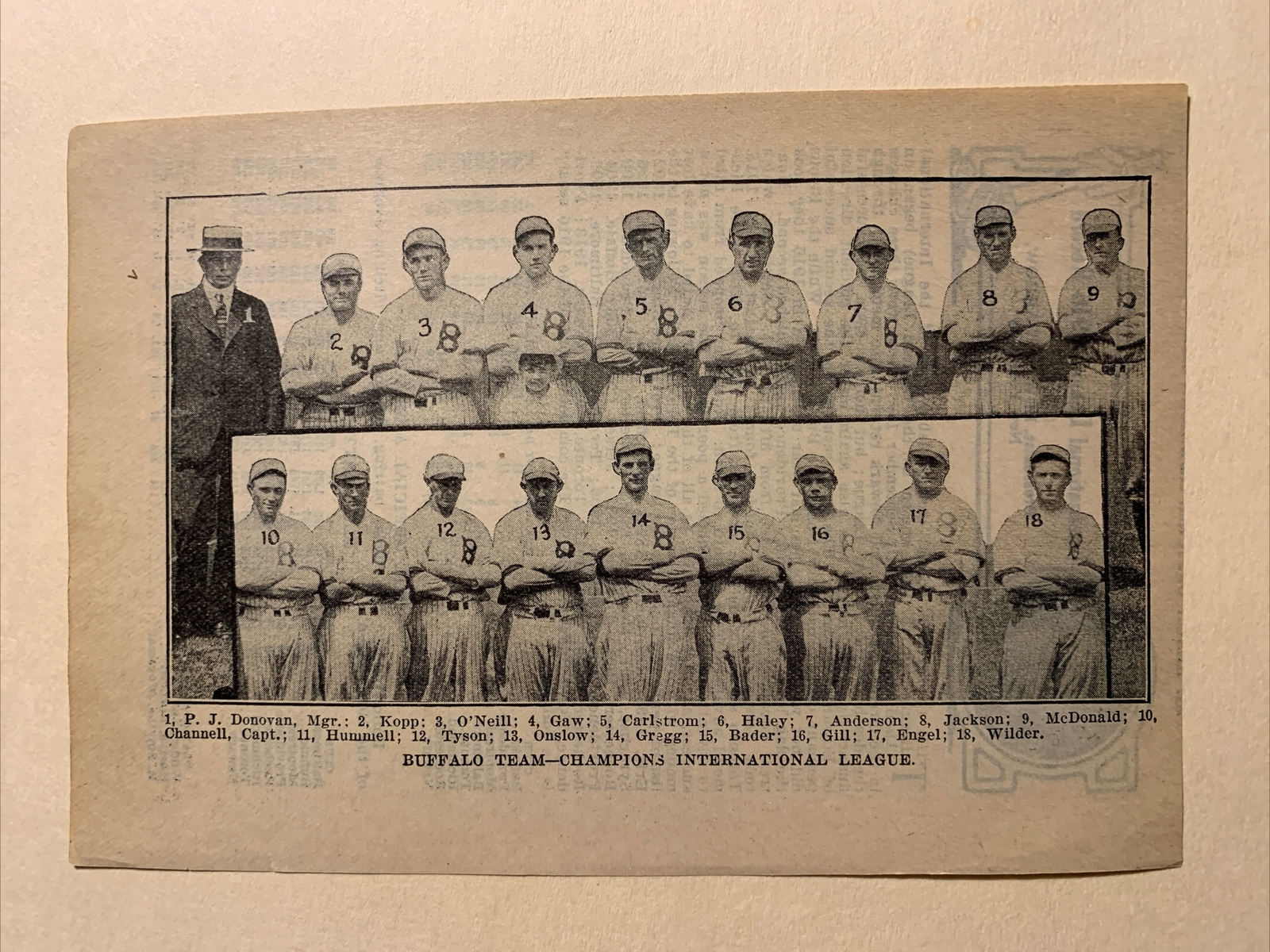 Buffalo Bisons Vean Gregg Patsy Donovan John Hummel 1916 Baseball 4X6 ...