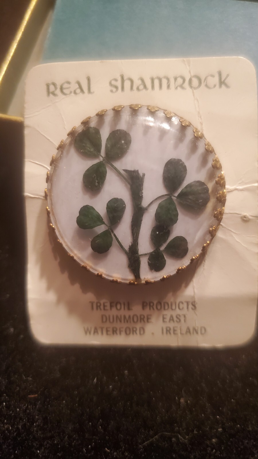 Real Shamrock pin Trefoil products wayerford ireland - Gem