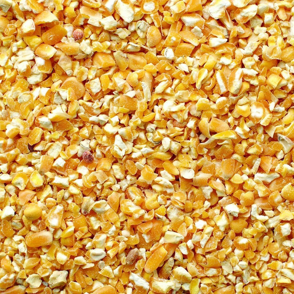Kibbled Cut Split Maize Poultry Chicken Food Geese Ducks Corn Feed Bulk ...
