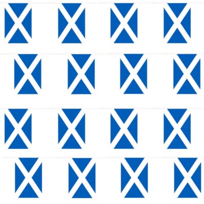 SCOTTISH SCOTLAND BUNTING 24FT 20 FLAGS PARTY WORLD CUP FOOTBALL | eBay UK