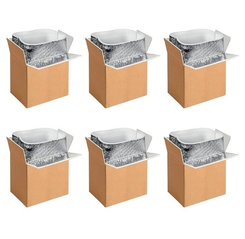 6 Pack Insulated Shipping Boxes with Aluminum Foil Liner,Thermal ...