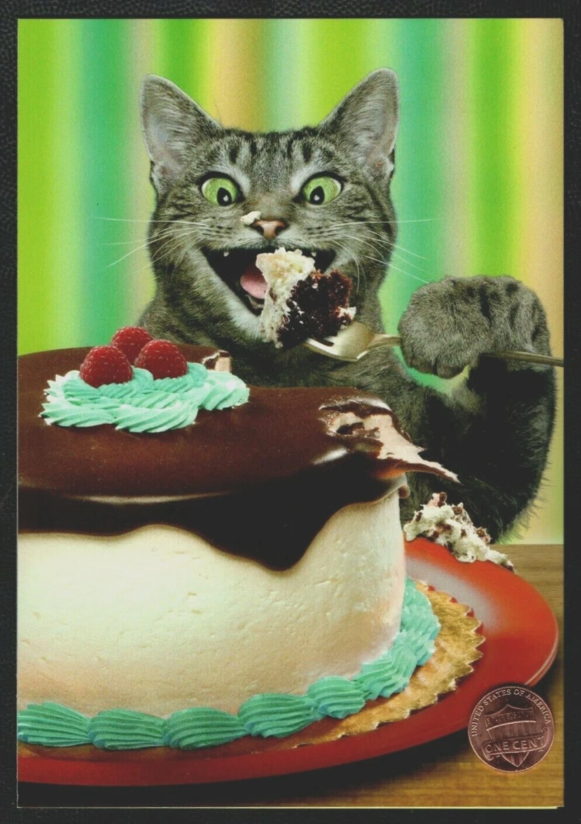 Kitten Eating Cake