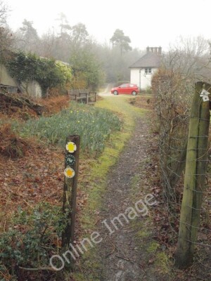 Photo 6x4 Hardy Way Briantspuddle Footpath SE4/14 passes cottages as it ...