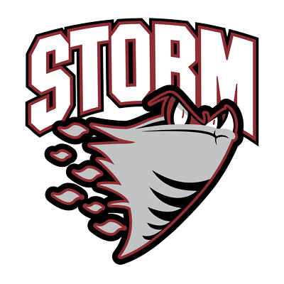 Lake Elsinore Storm sticker MiLB weatherproof bumper vinyl decal | eBay