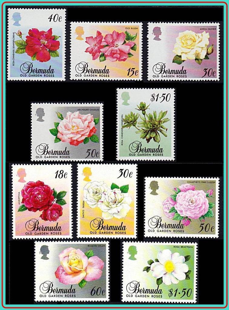 Flowers From Bermuda