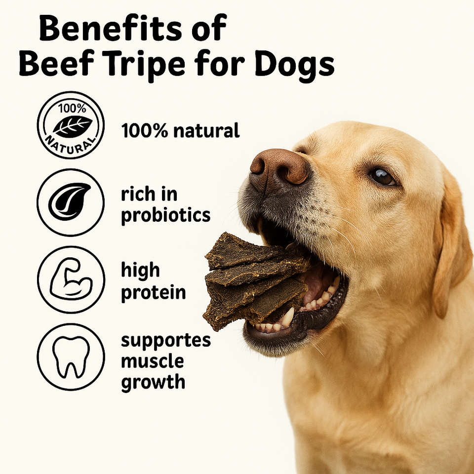 2Kg 100% Dried Beef Tripe for Dog Buffalo Treat Natural Pet Treats ...